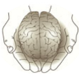 cropped-IFN-Logo.png | The Institute of Functional Neuroscience